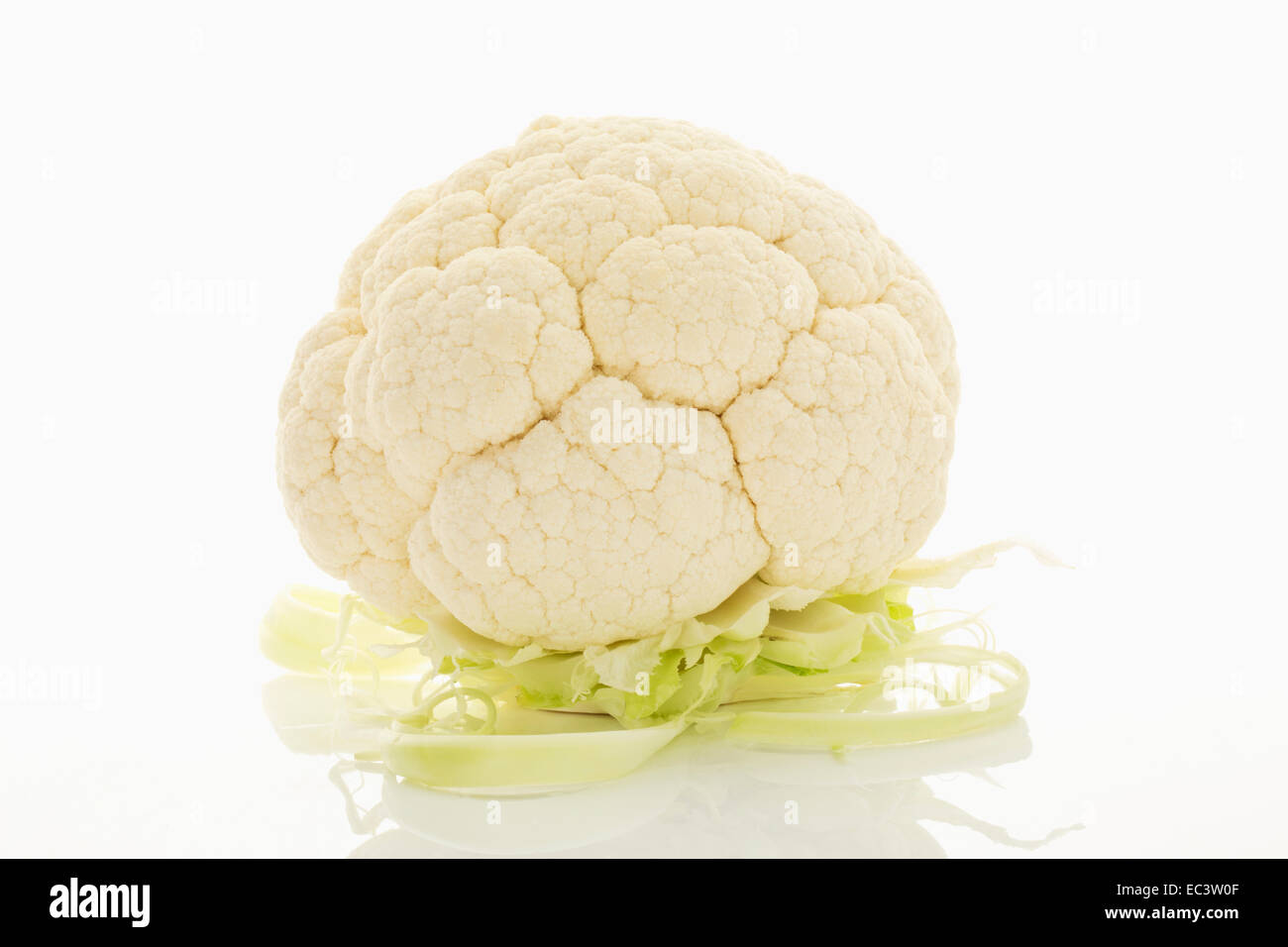 Cauliflower flowering hi-res stock photography and images - Alamy