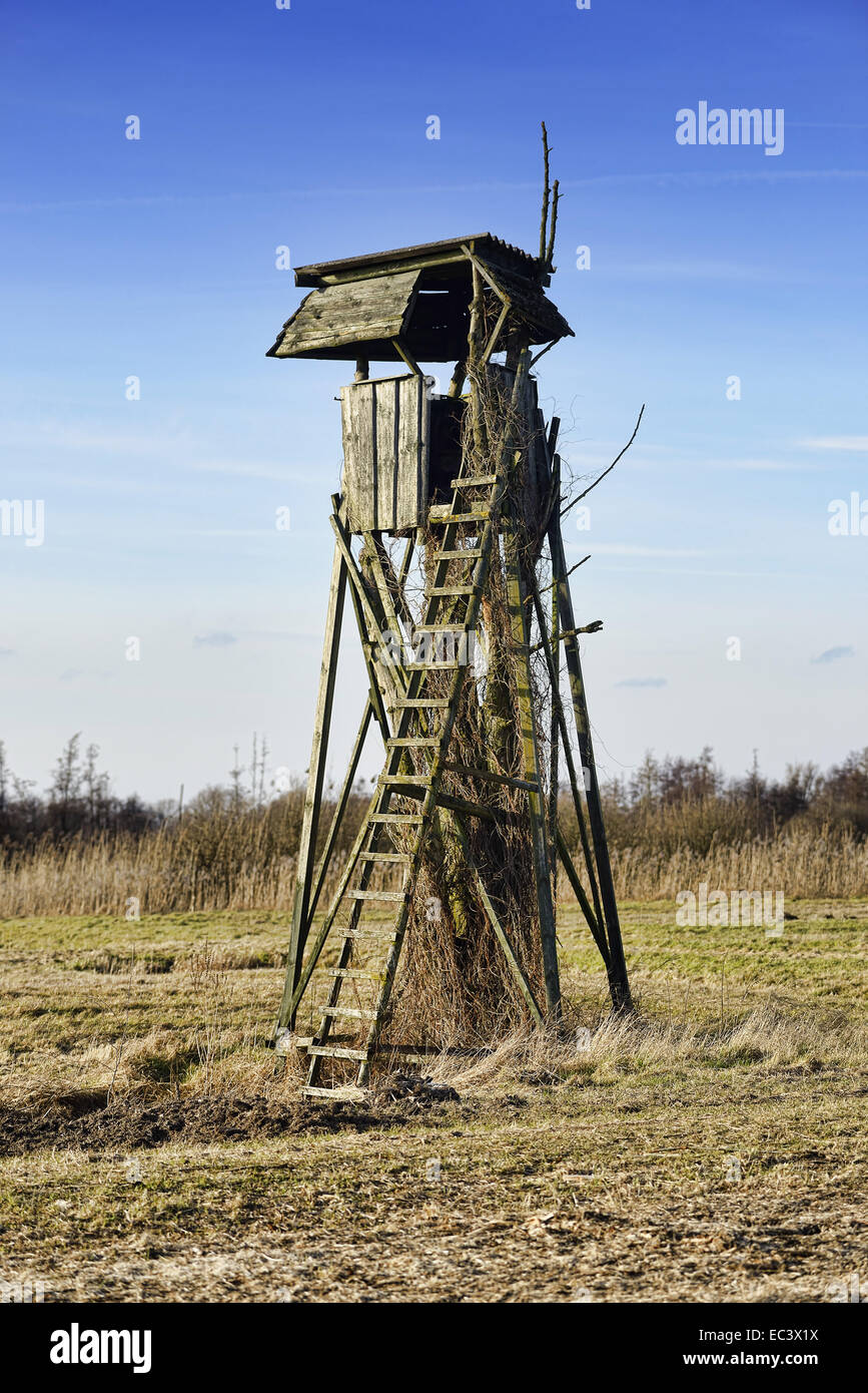 Hide in hamburg hi-res stock photography and images - Alamy