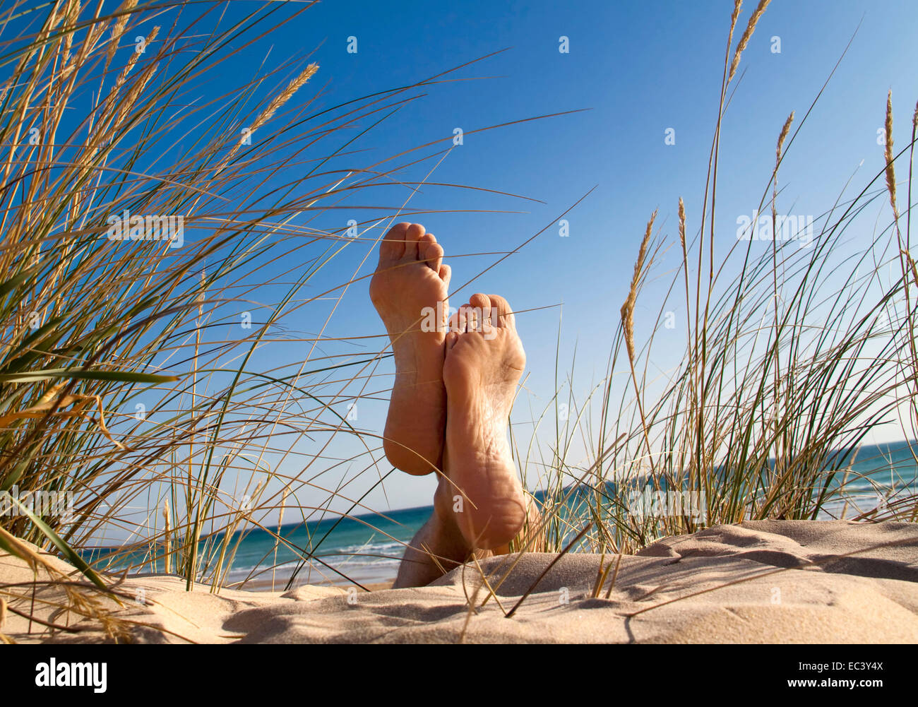 Beach appropriate hi-res stock photography and images - Alamy