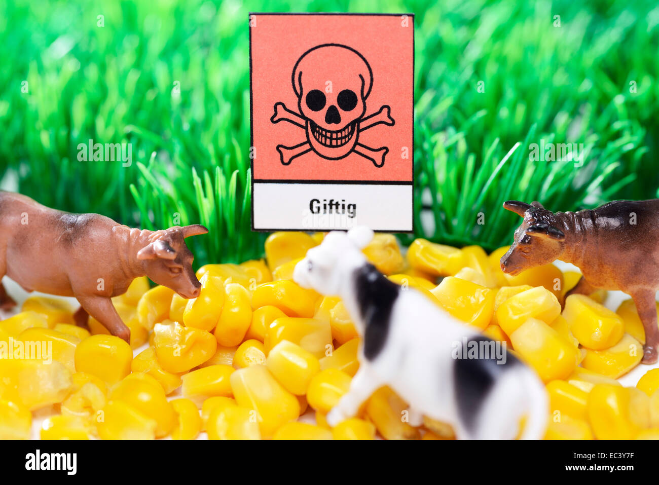 Picture skull animals hi-res stock photography and images - Alamy