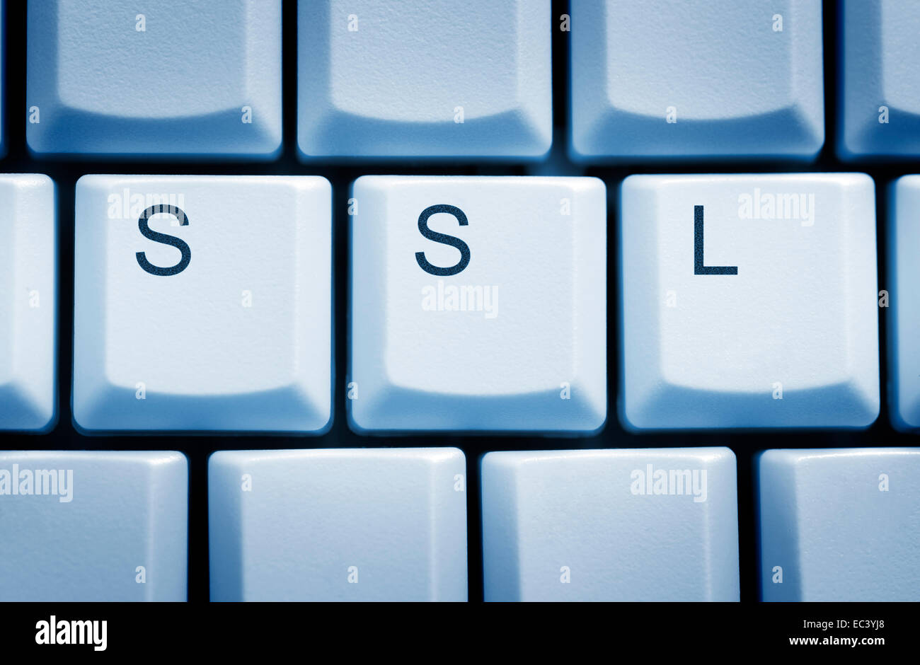 Hardware bugs hi-res stock photography and images - Alamy