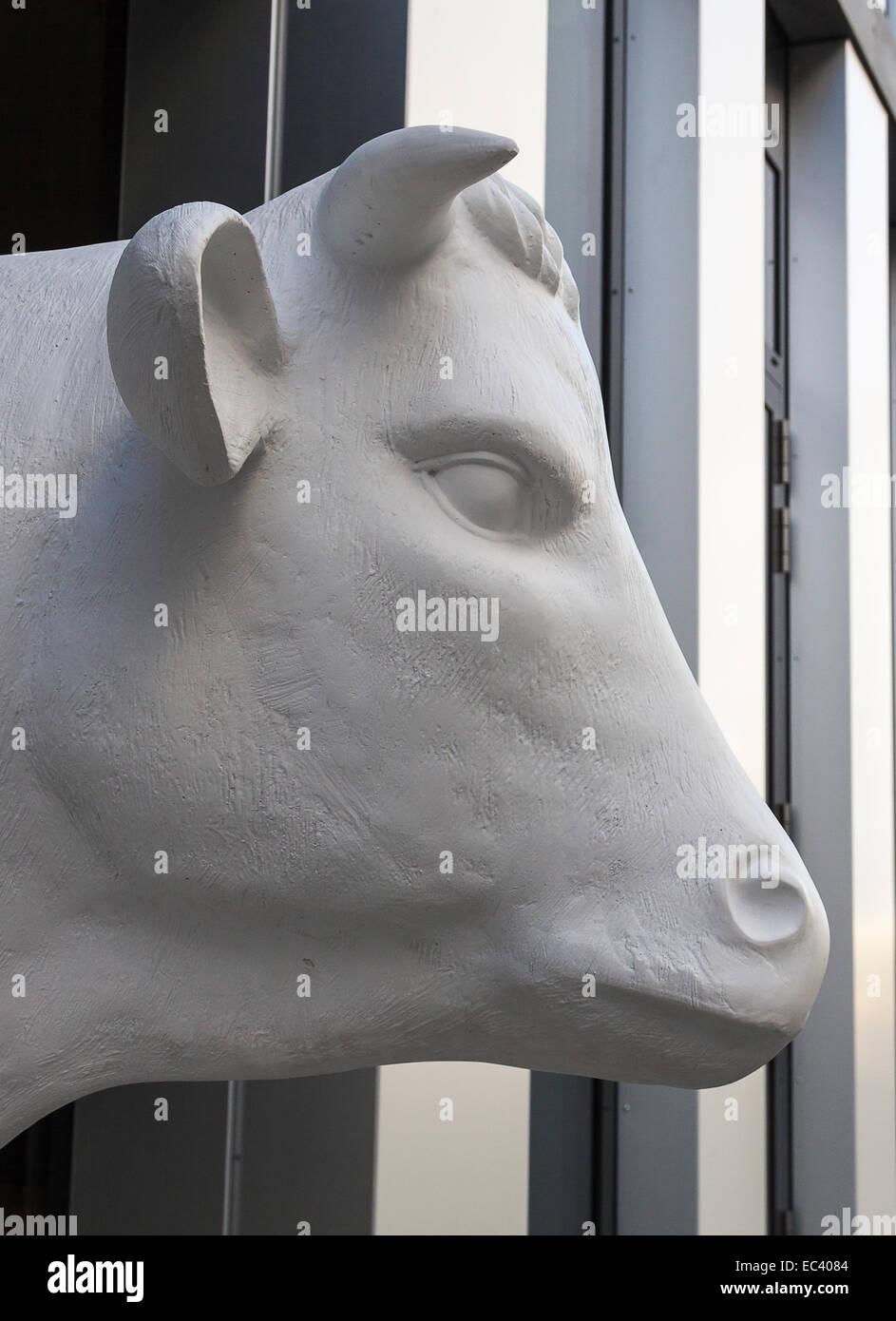 Cow cardboard hi-res stock photography and images - Alamy