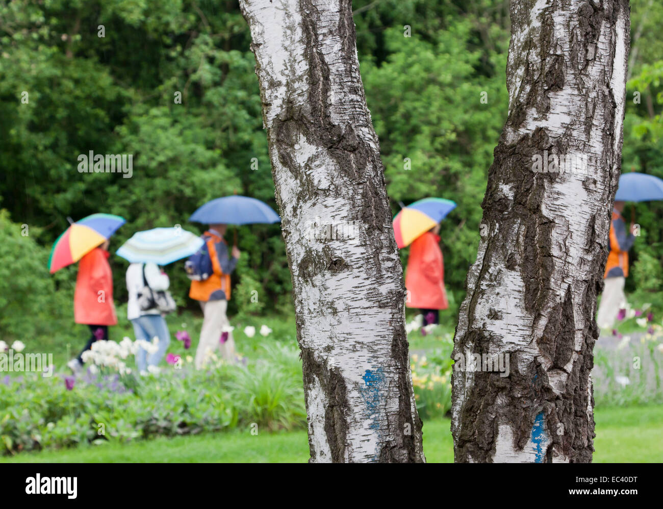 walk in the rain Stock Photo - Alamy