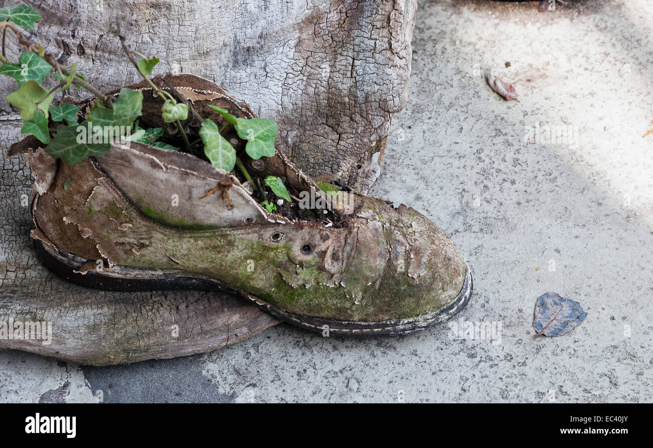 Earth shoe hi-res stock photography and images - Alamy