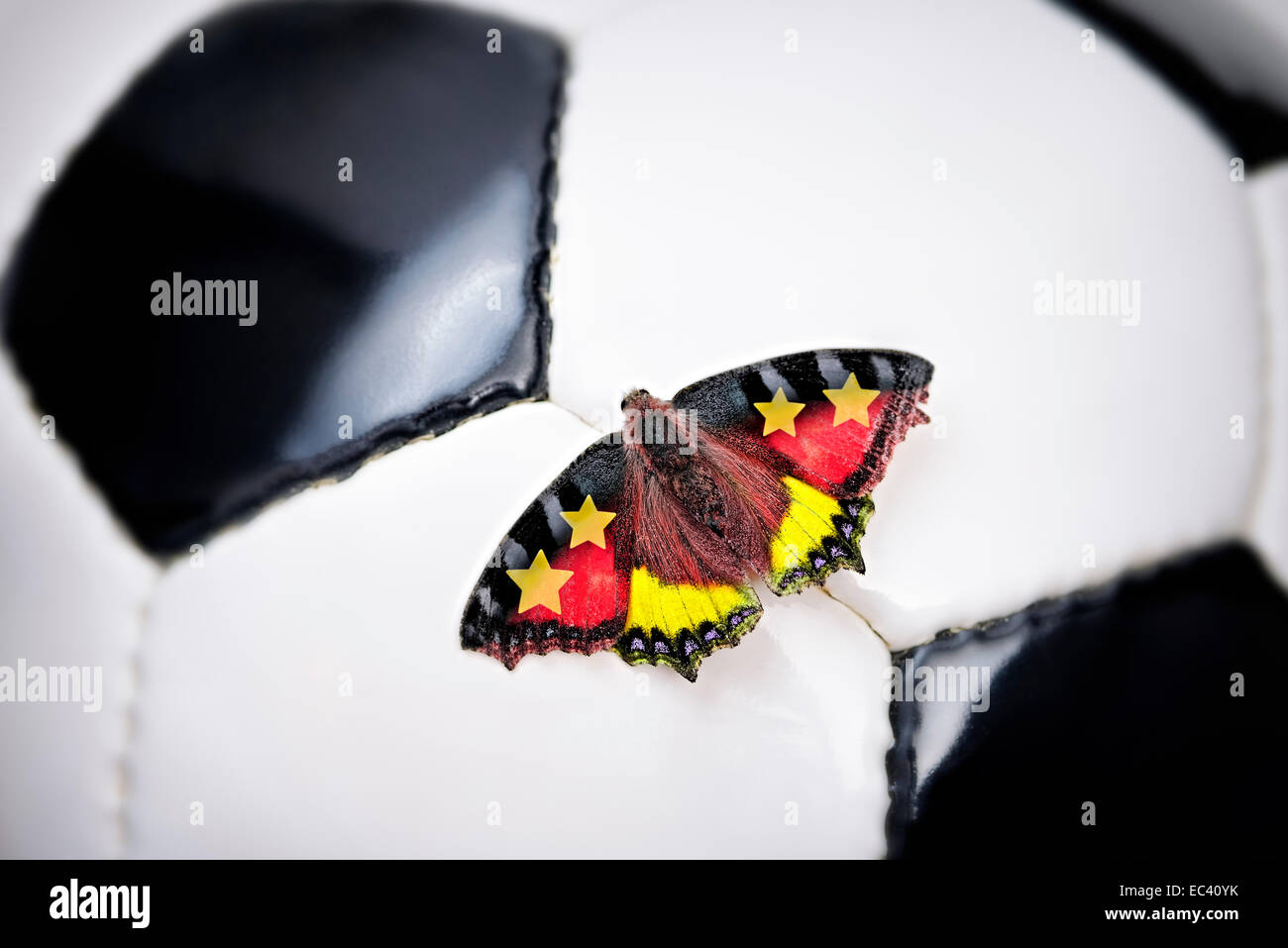 Butterfly on soccer ball hi-res stock photography and images - Alamy