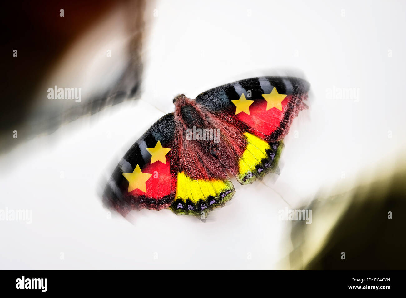 German National Colours High Resolution Stock Photography and Images ...