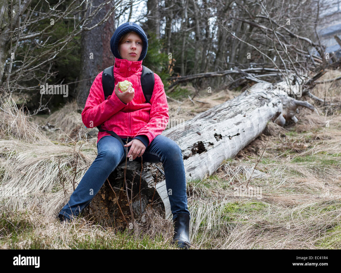 Walking break in the forest Stock Photo - Alamy