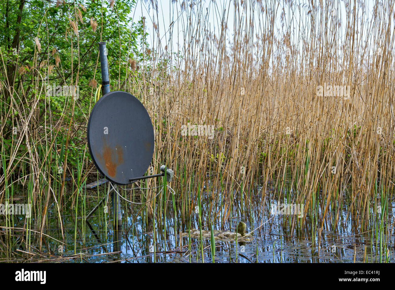 Antenna in the water Stock Photo - Alamy