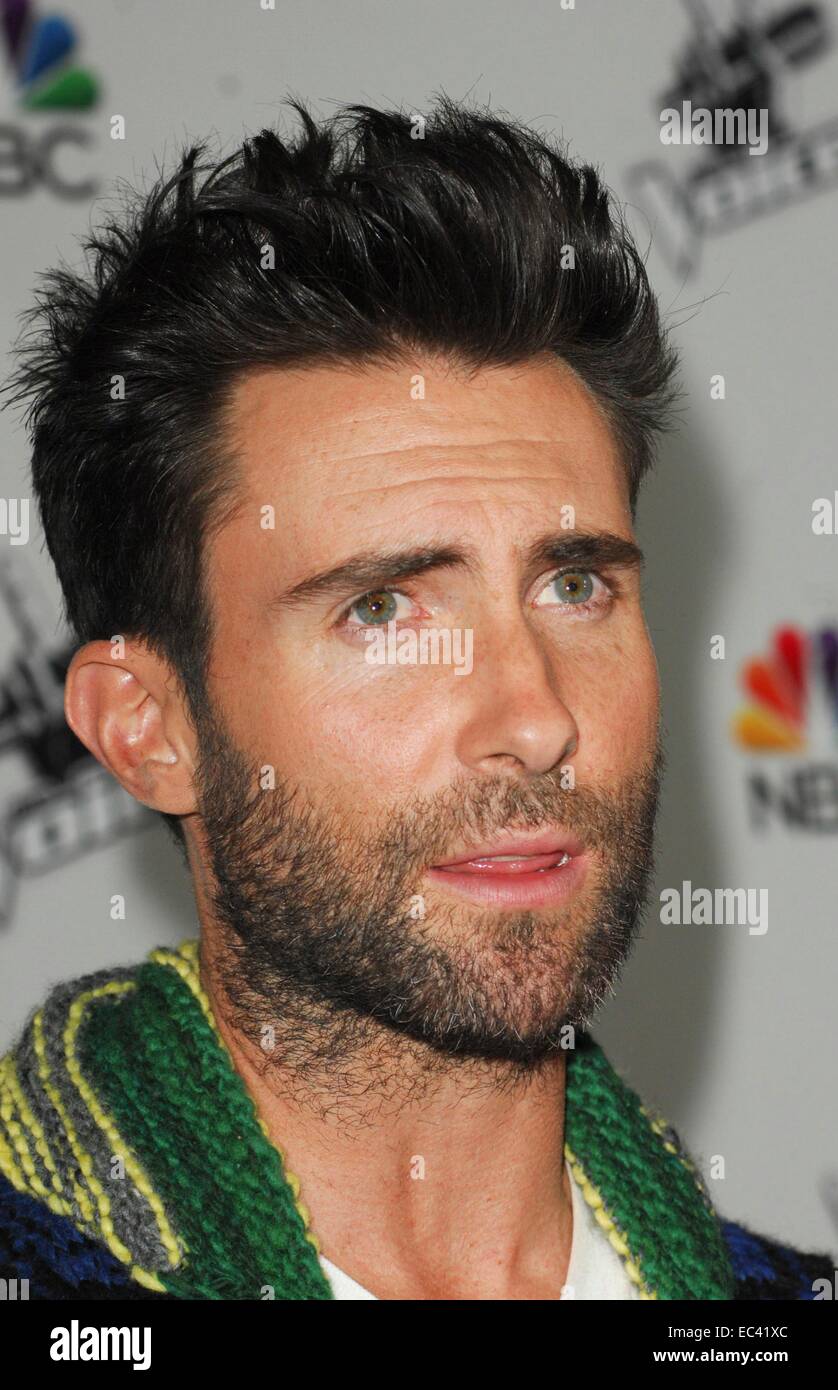 Adam Levine Mustache