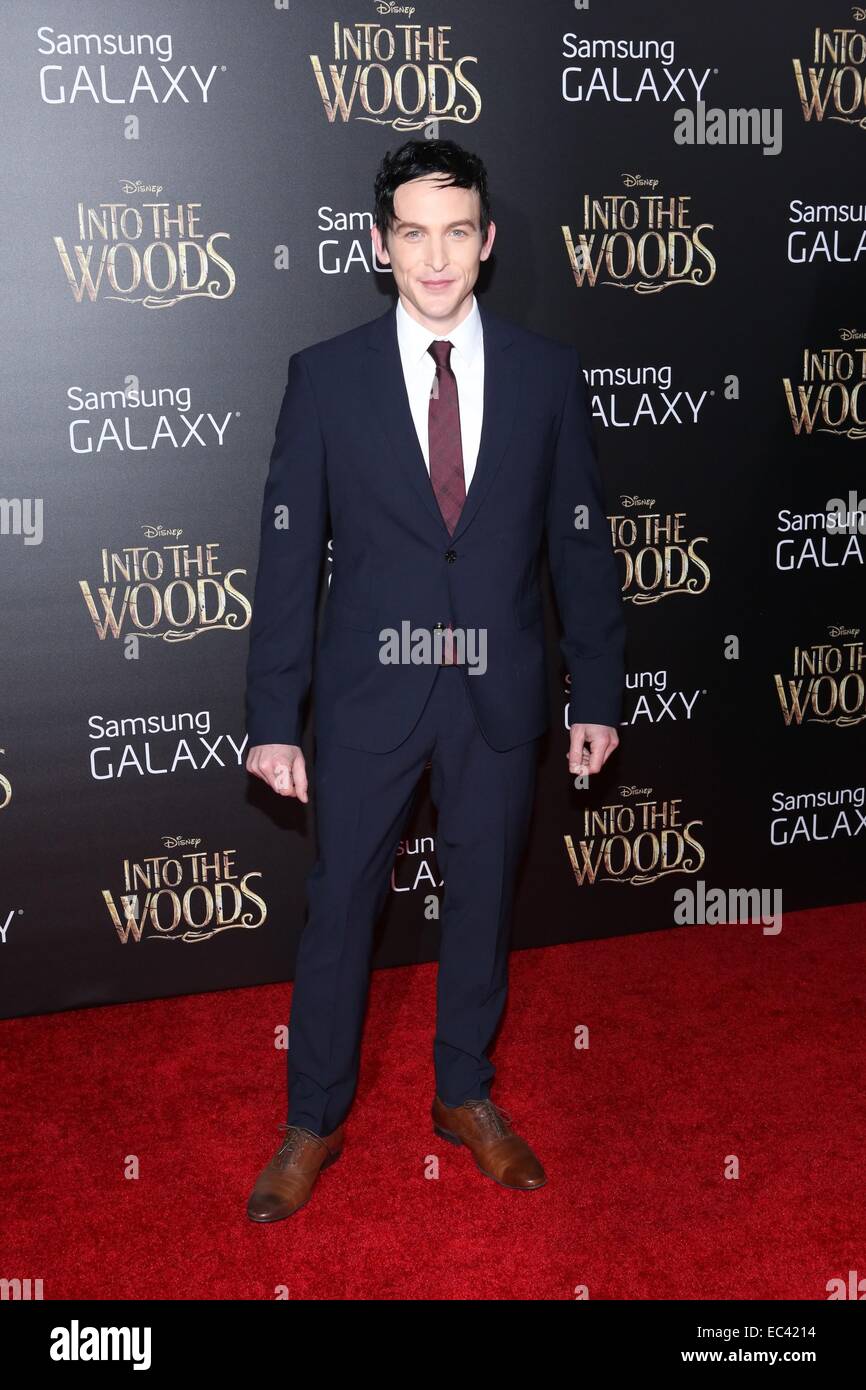 New York, NY, USA. 8th Dec, 2014. Robin Taylor at arrivals for INTO THE ...