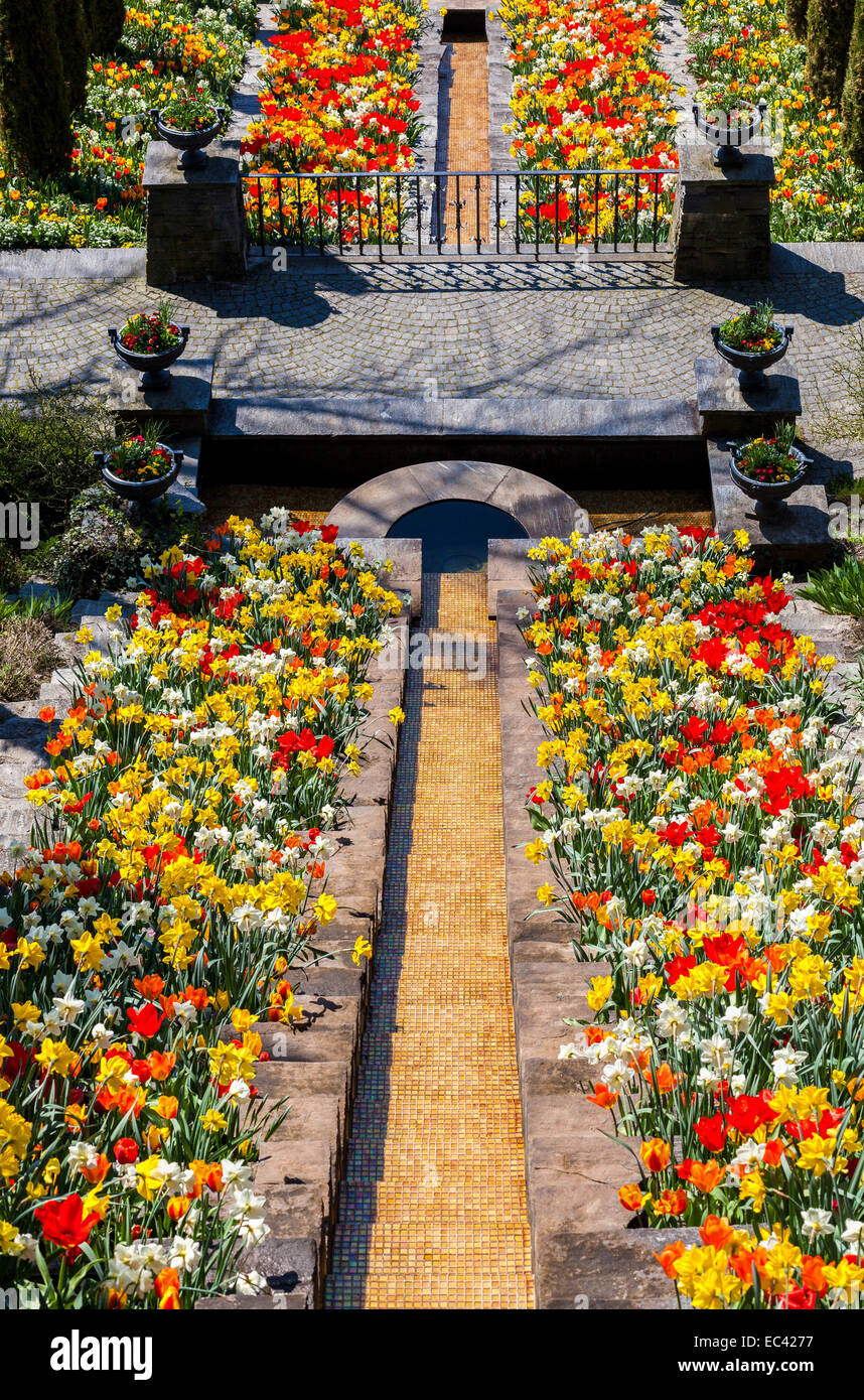 Watercourse with flower beds Stock Photo - Alamy