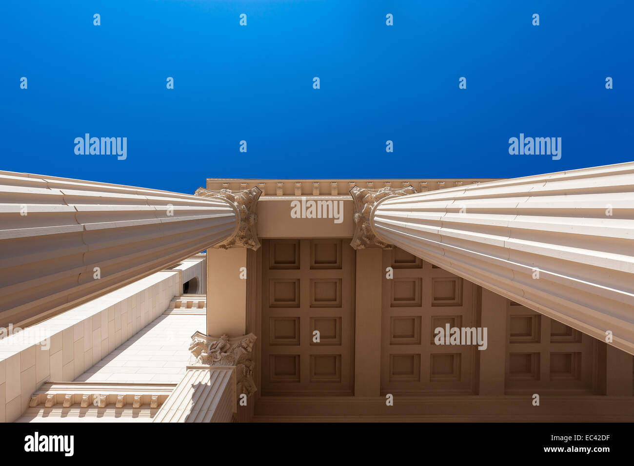 Columnar habit hi-res stock photography and images - Alamy