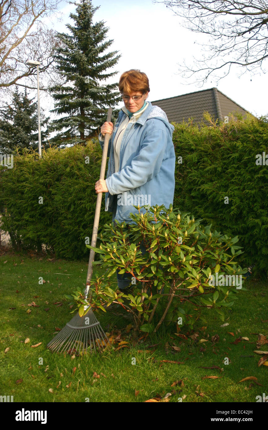 Woman raking Leaves Stock Photo - Alamy