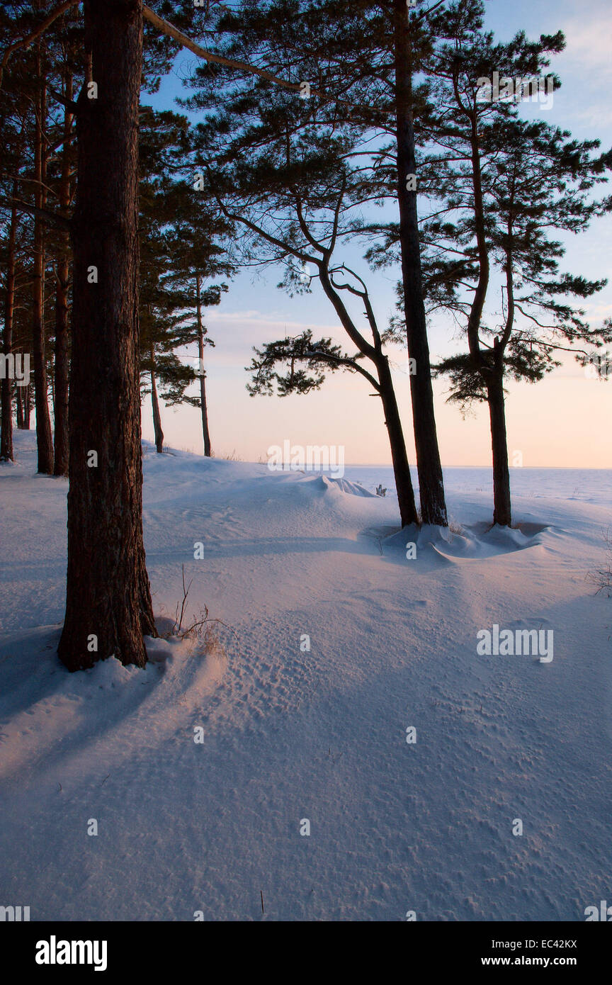 Trees and Snow Cover Stock Photo - Alamy