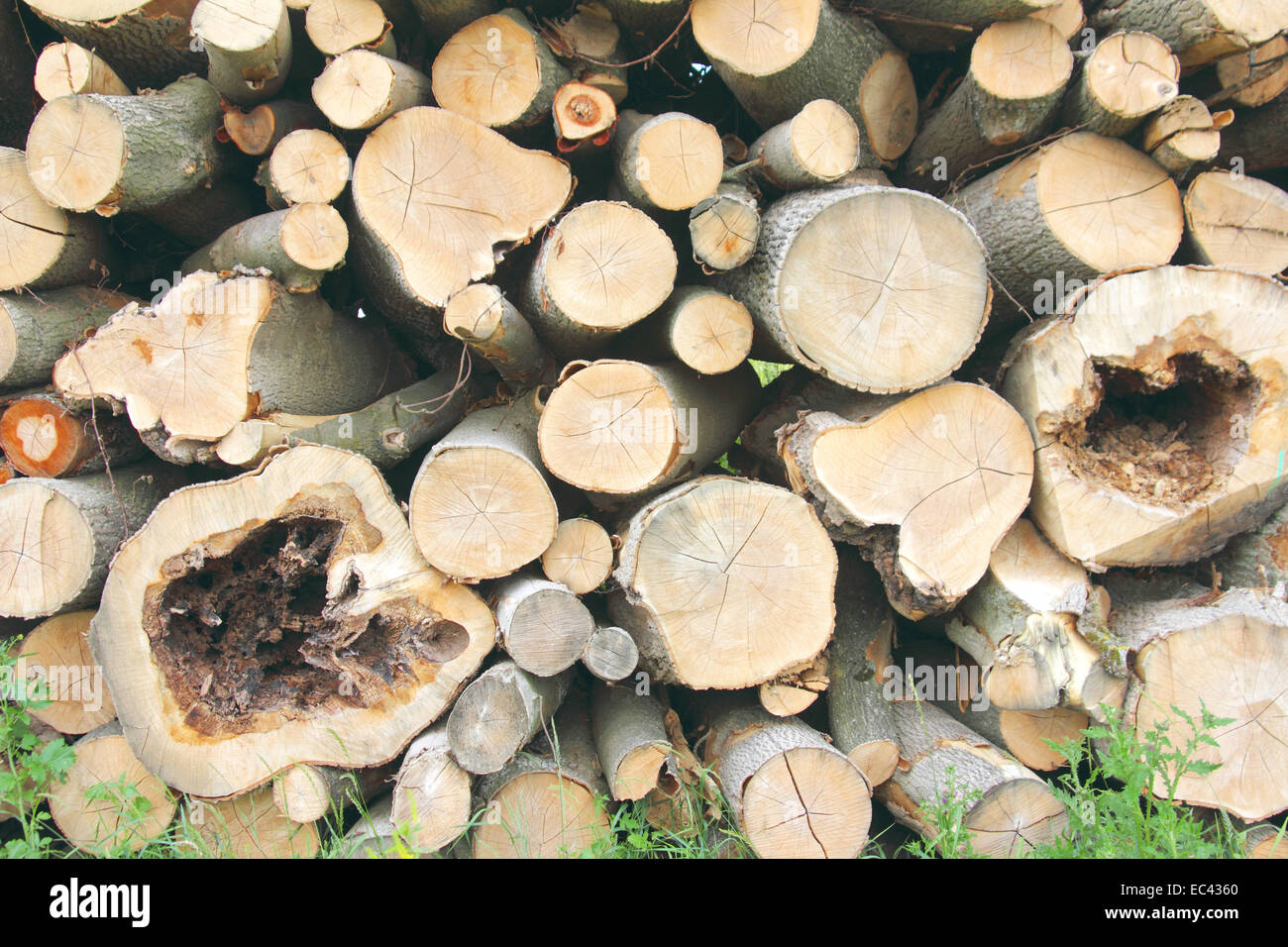 symbol of life Stock Photo - Alamy