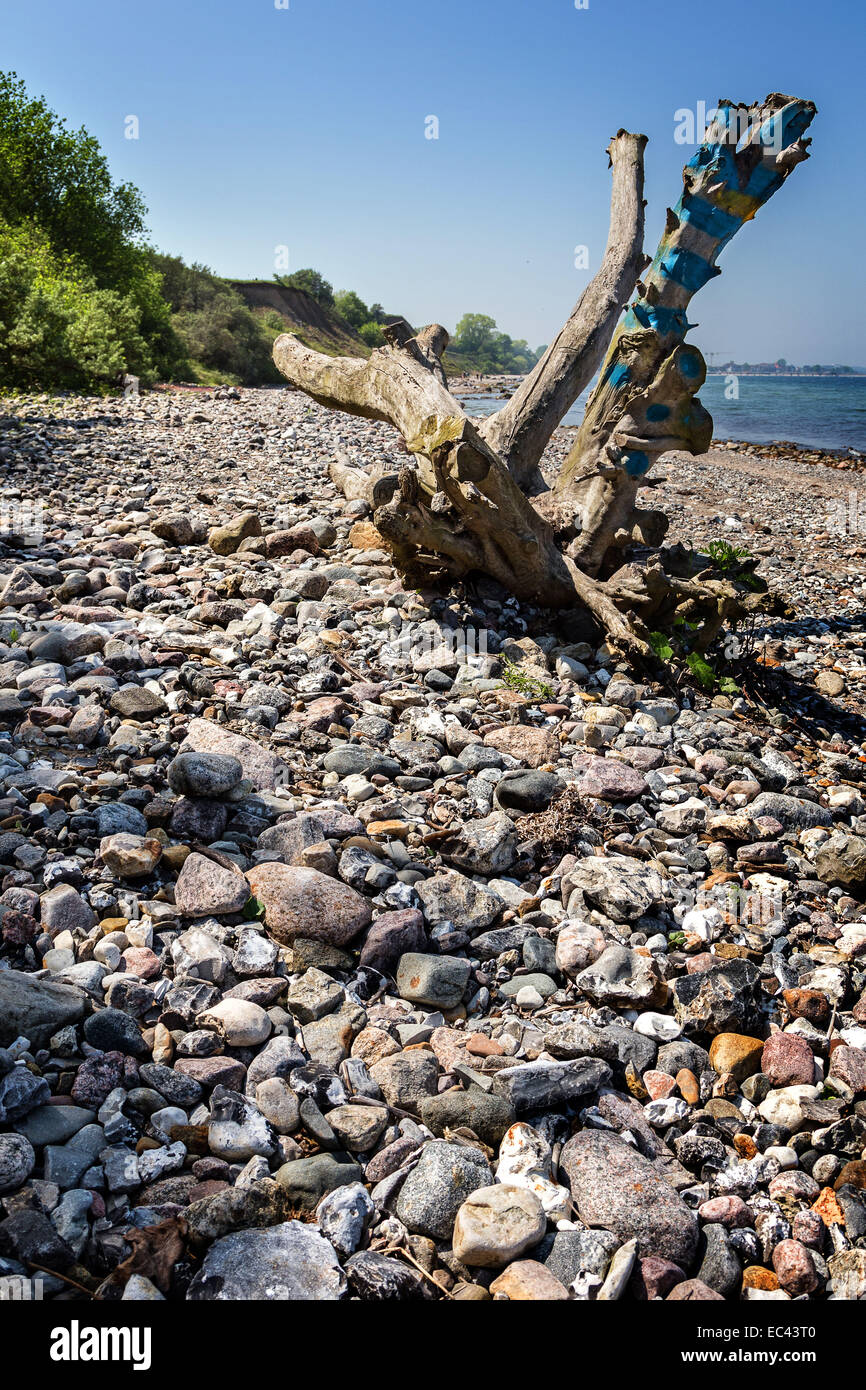 Gravel beach hi-res stock photography and images - Alamy