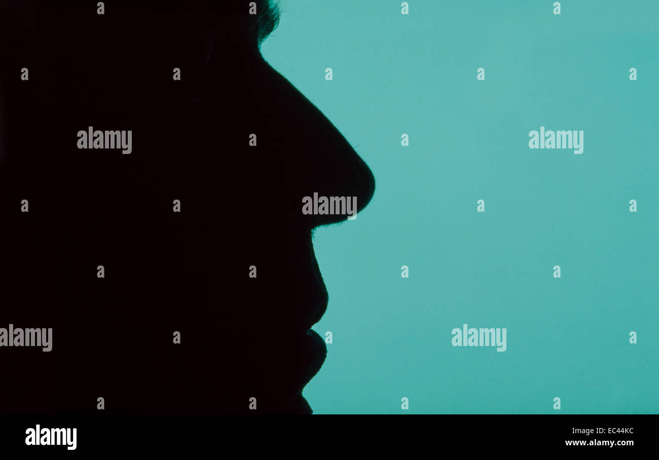 Nose shapes hi-res stock photography and images - Alamy