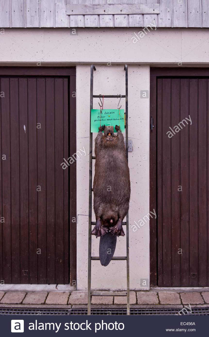 Dead Body Warning Stock Photos & Dead Body Warning Stock Images - Alamy