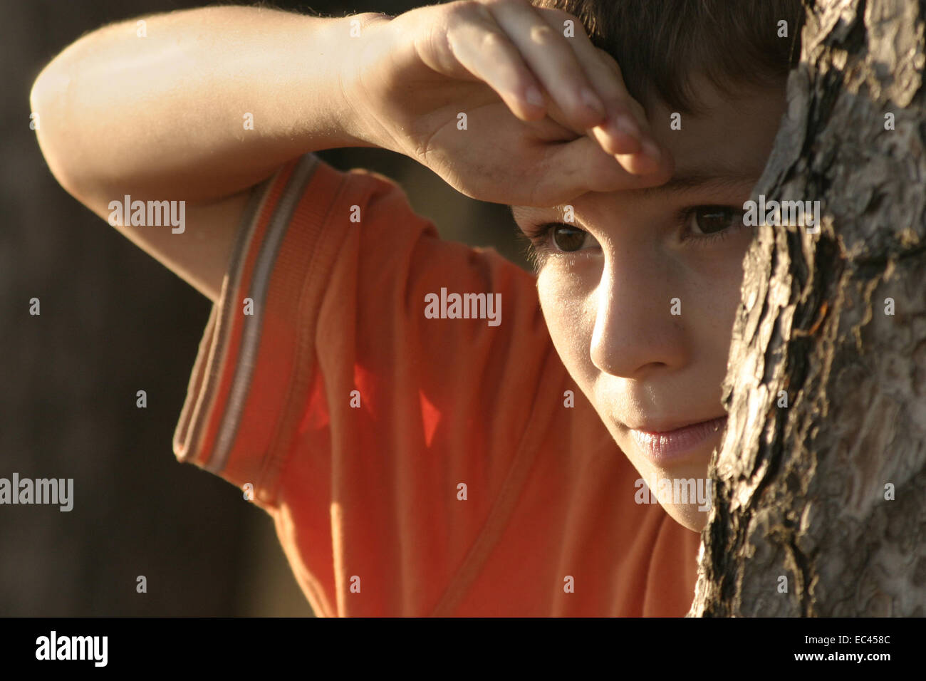 Boy peeking out behind Tree Trunk Stock Photo - Alamy