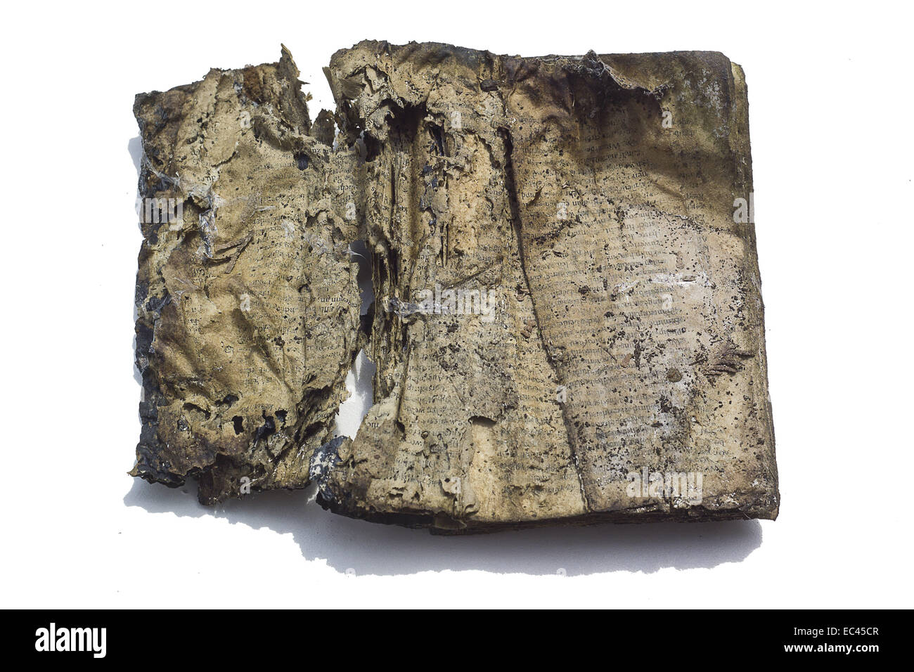 Book damage hi-res stock photography and images - Alamy