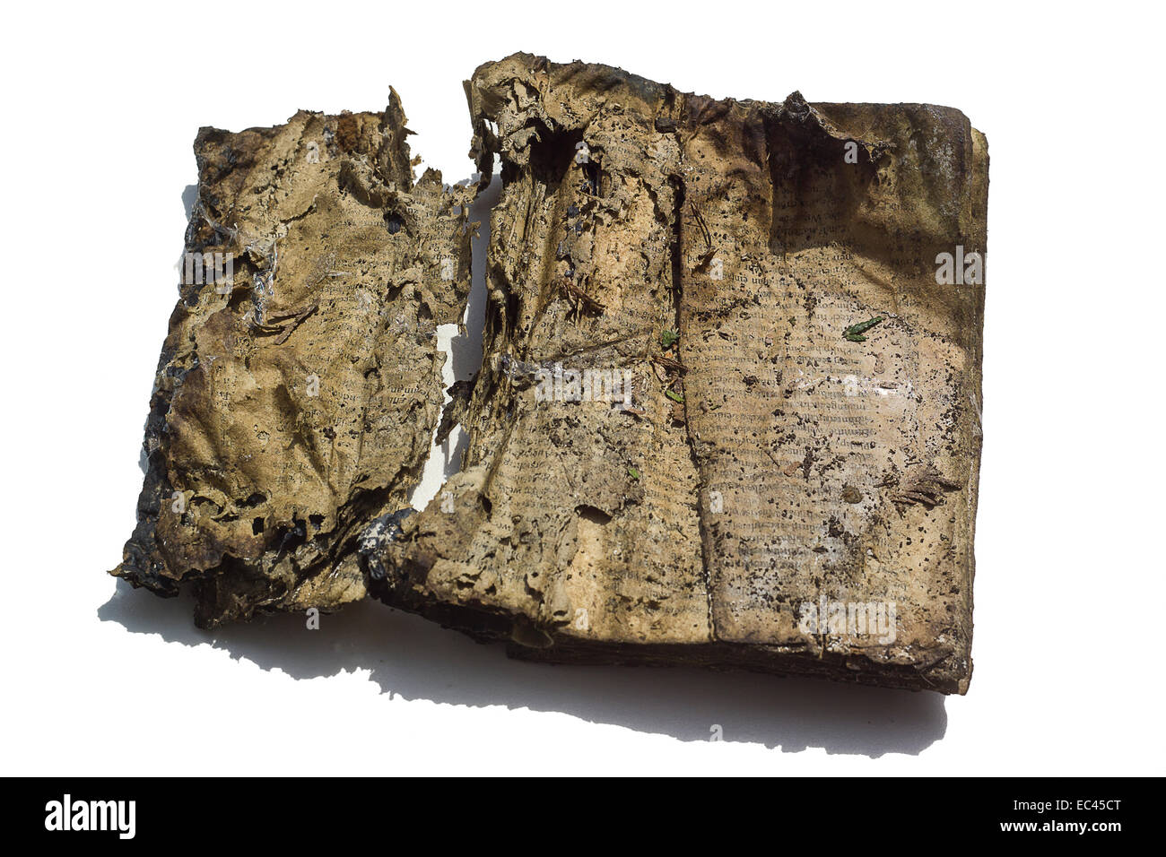 Book damage Cut Out Stock Images & Pictures - Alamy