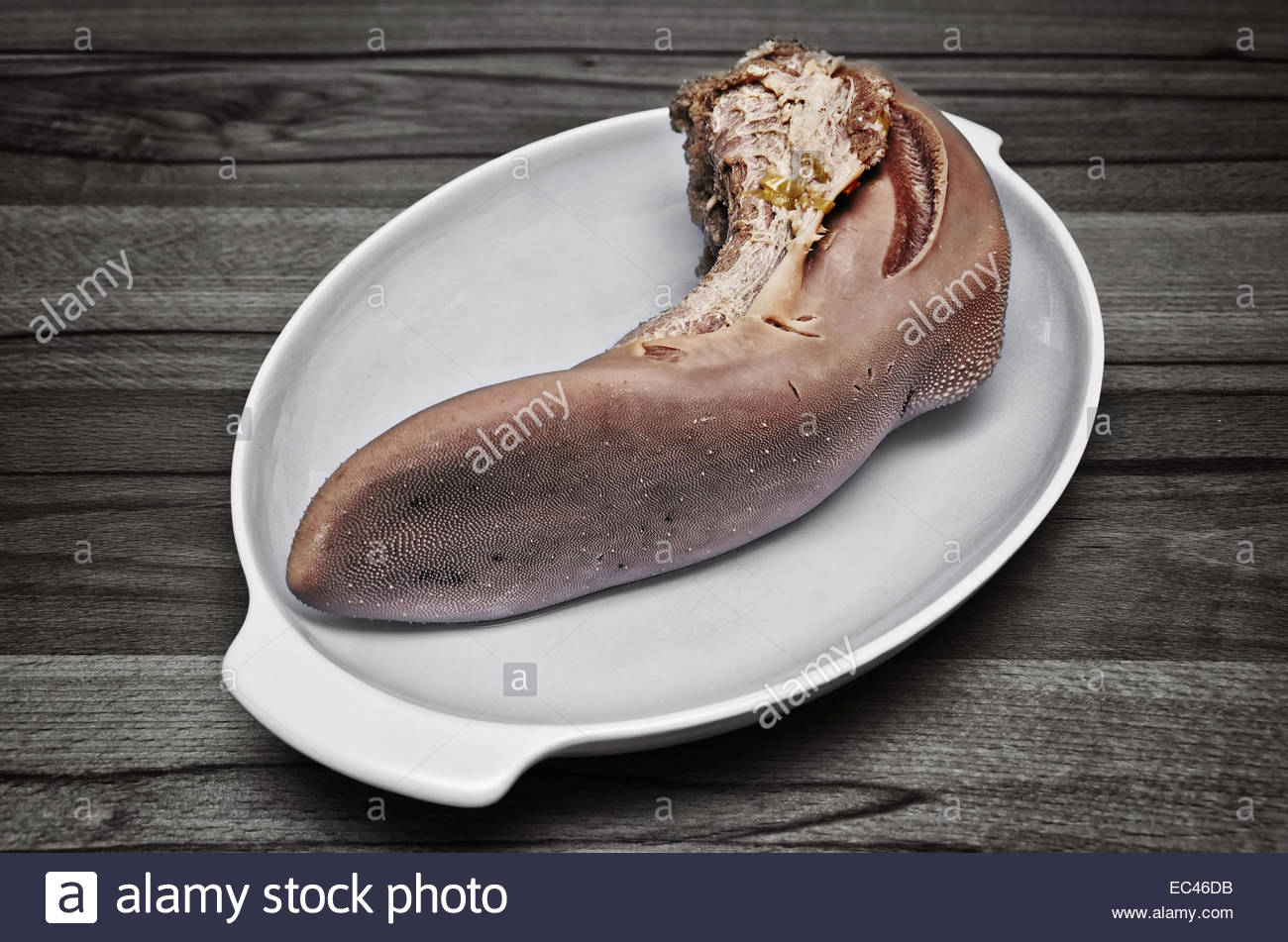 Ox Body Part High Resolution Stock Photography and Images - Alamy