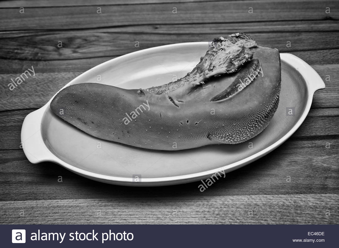 Ox Body Part High Resolution Stock Photography and Images - Alamy