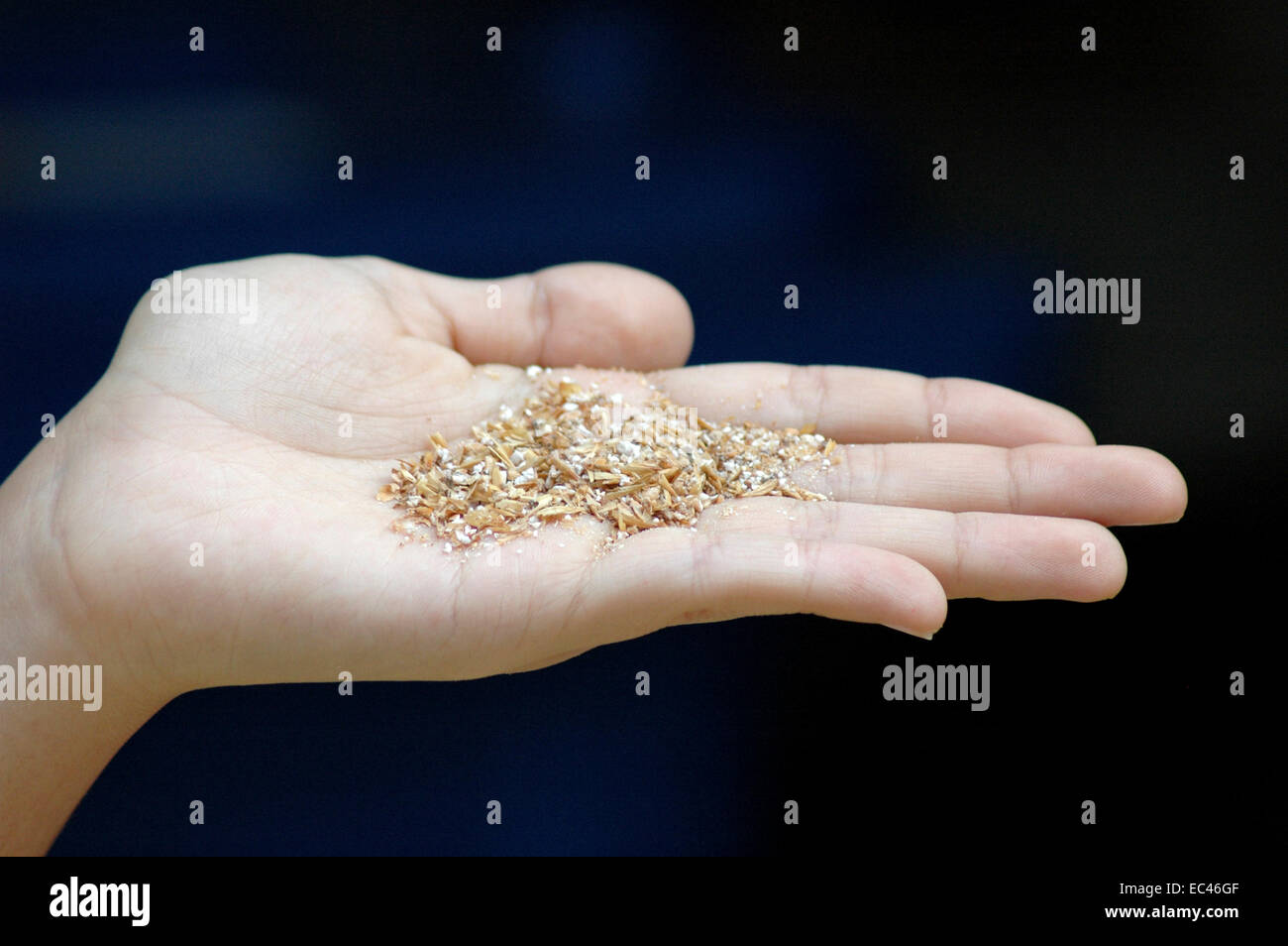 Grain hand hi-res stock photography and images - Alamy
