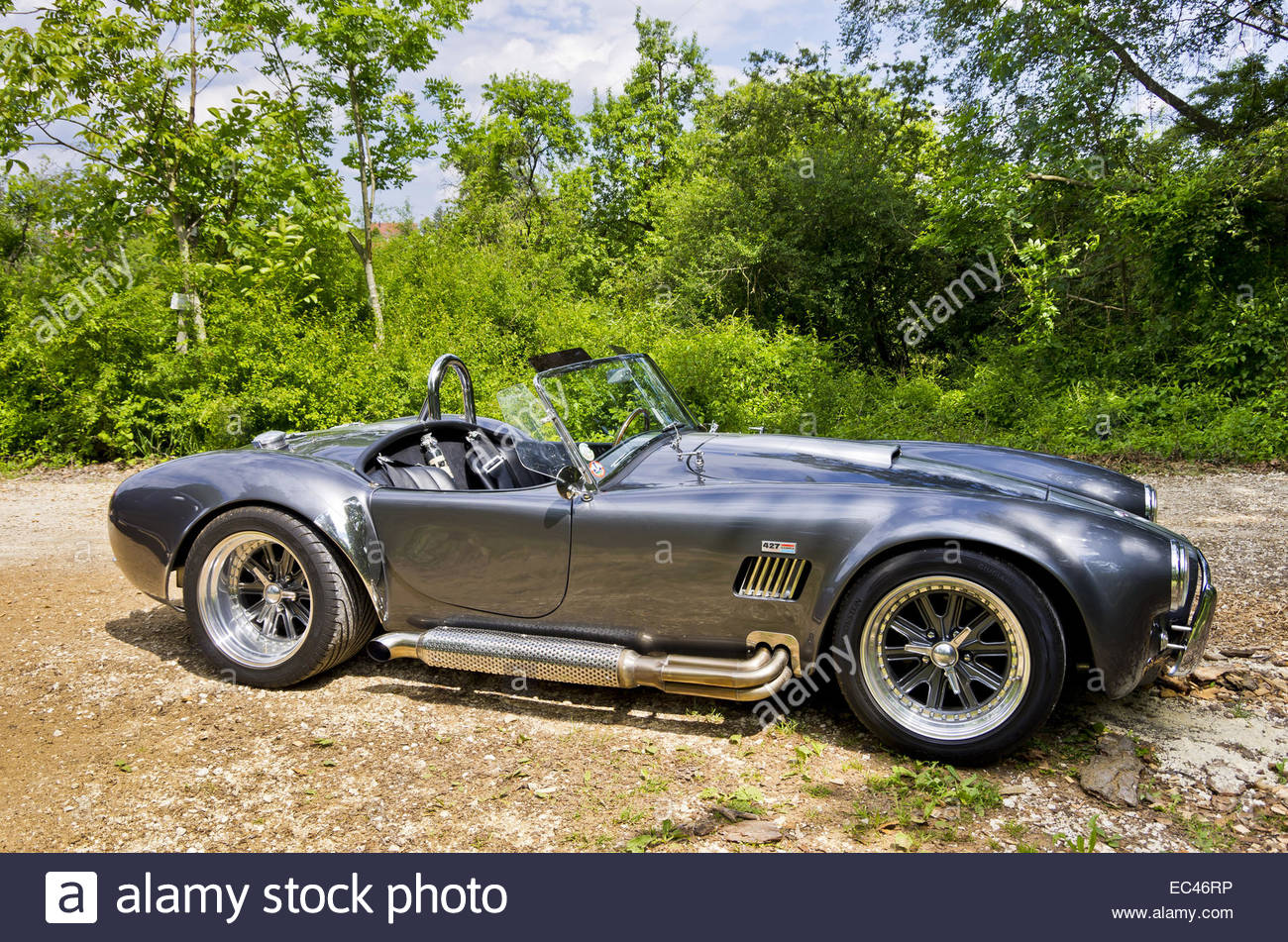 Vintage Shelby Car High Resolution Stock Photography and Images - Alamy