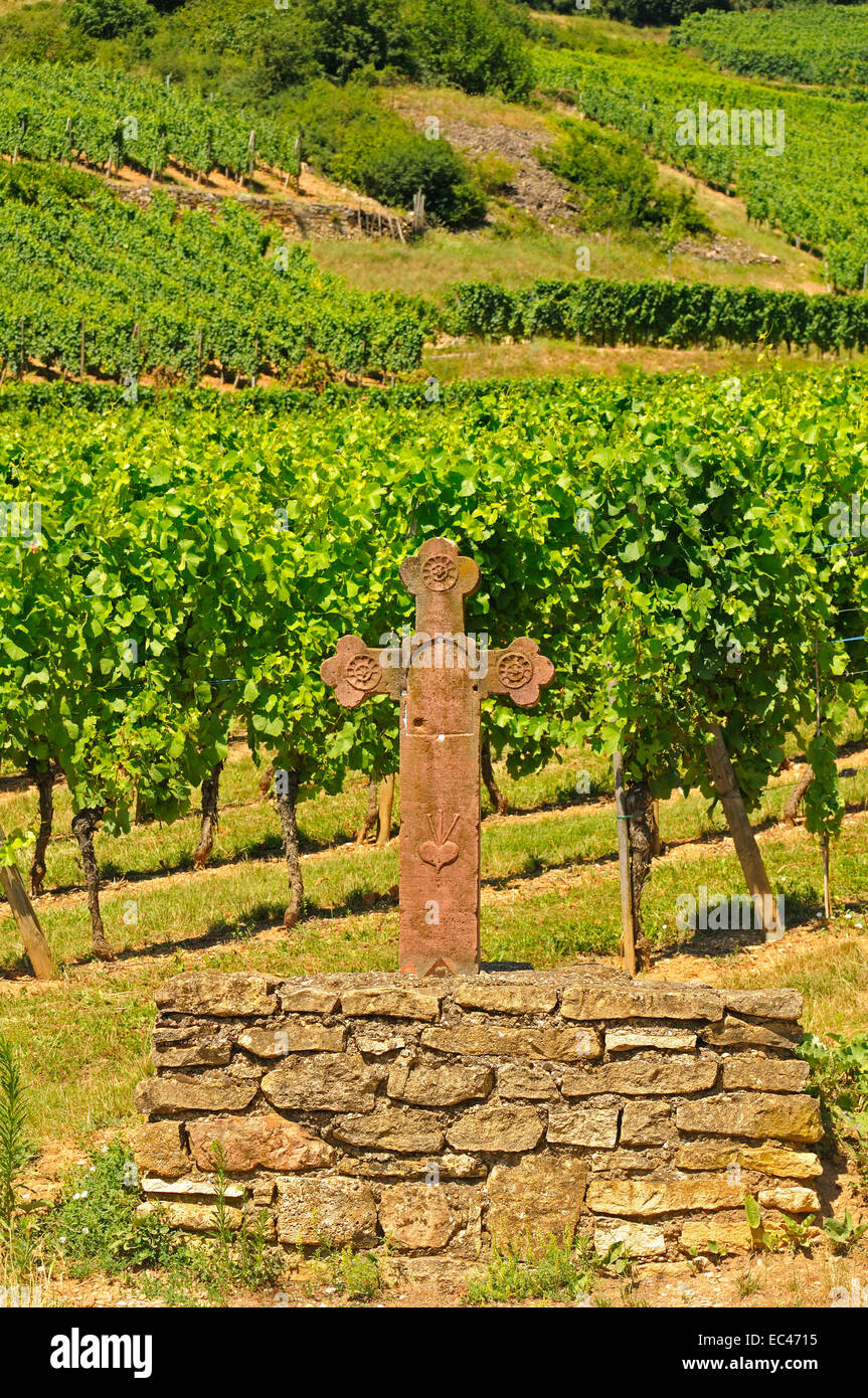 Stone cross in the vineyards of the Alsace, France Stock Photo - Alamy