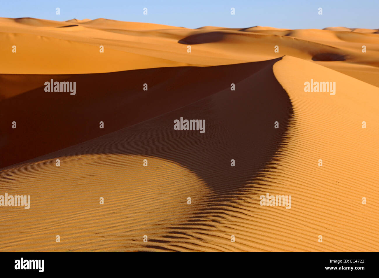 Sand dunes in the Libyan Desert, Sahara desert, Libya Stock Photo - Alamy