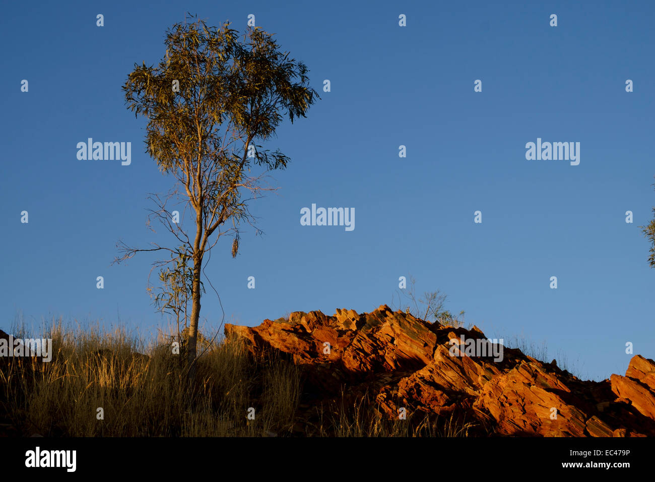 Sunrise from the City Lookout in Mt Isa Stock Photo - Alamy