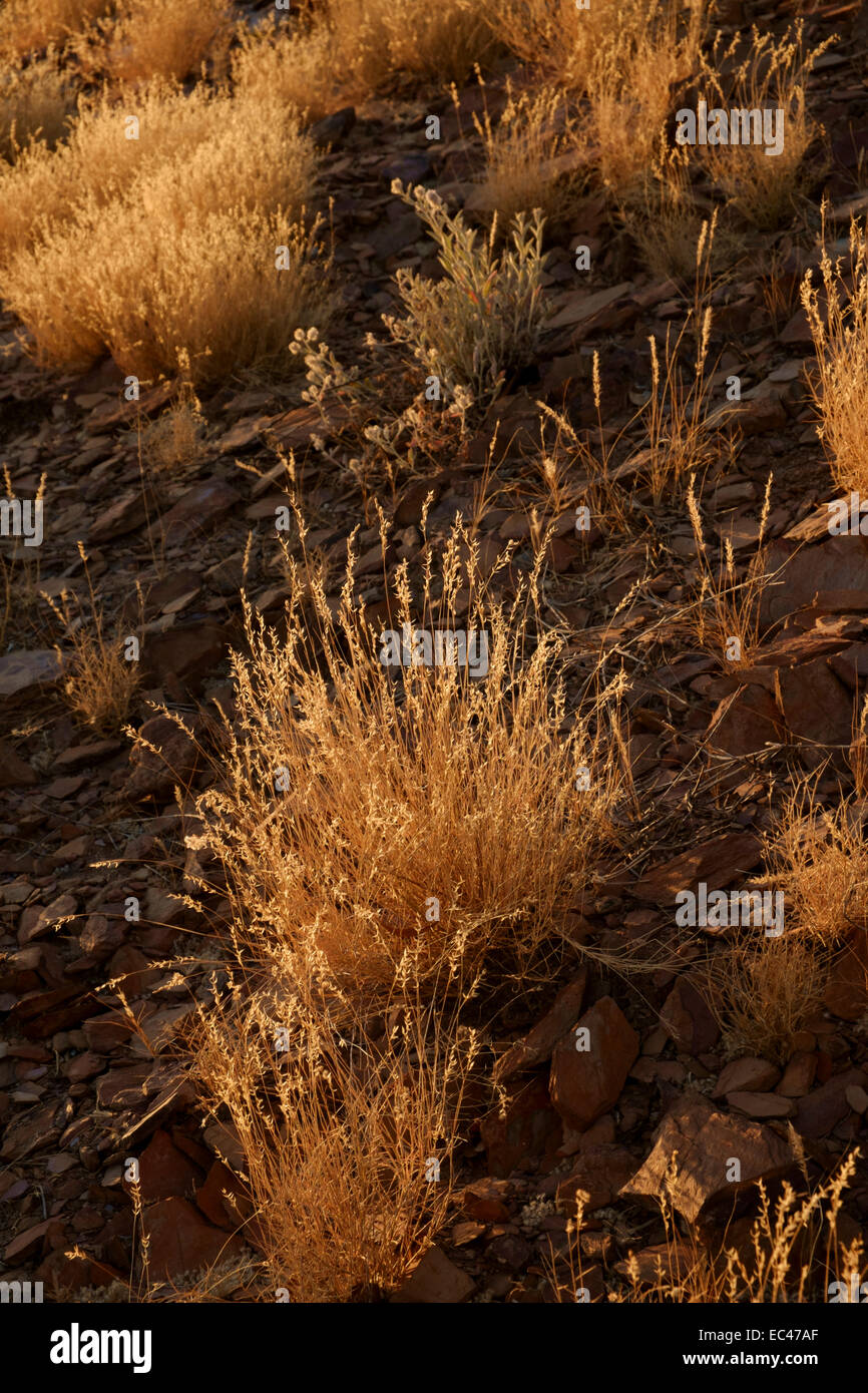 Sunrise from the City Lookout in Mt Isa Stock Photo - Alamy