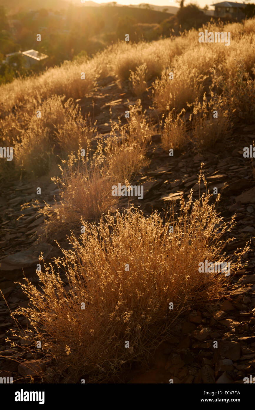 Sunrise from the City Lookout in Mt Isa Stock Photo - Alamy