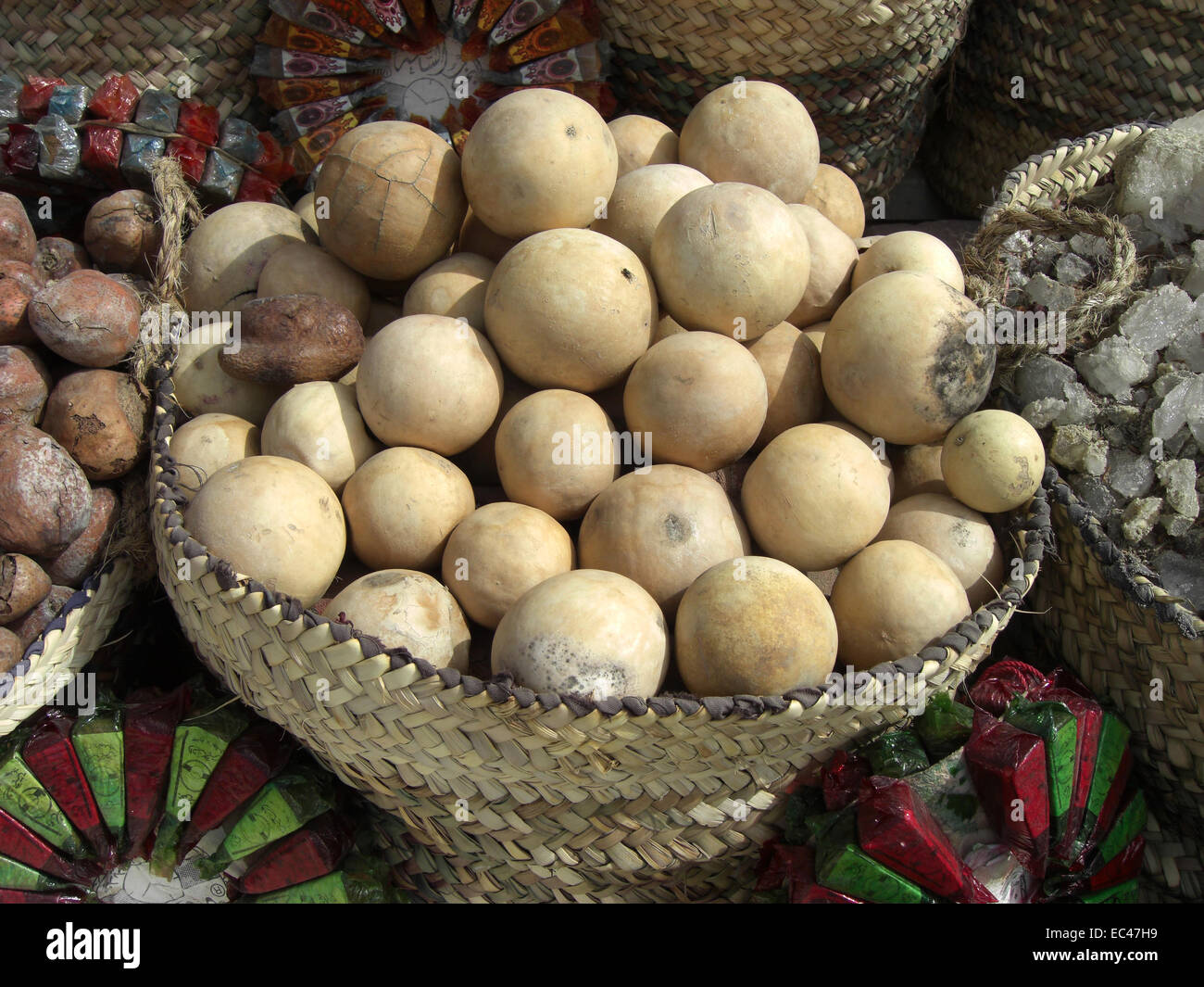Colocynth citrullus colocynthis hi-res stock photography and images - Alamy