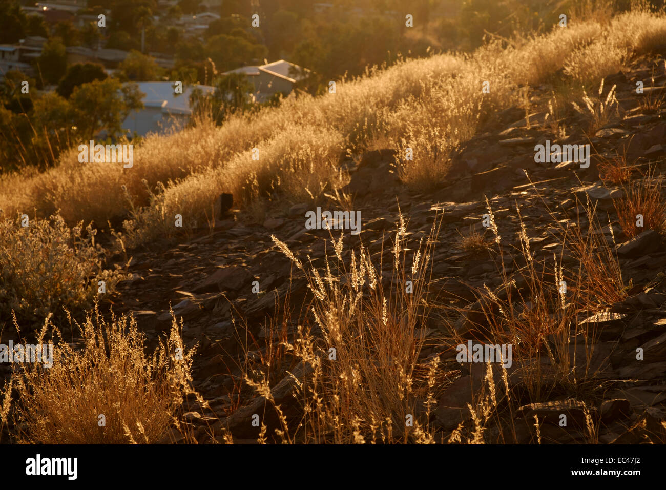 Sunrise from the City Lookout in Mt Isa Stock Photo - Alamy