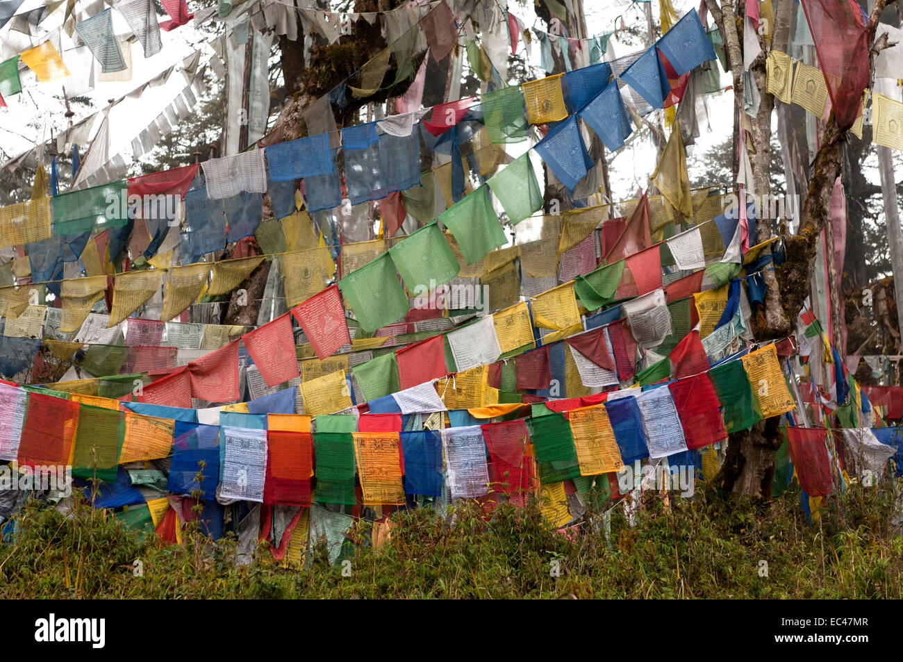 Buddhist ritual practices hi-res stock photography and images - Alamy