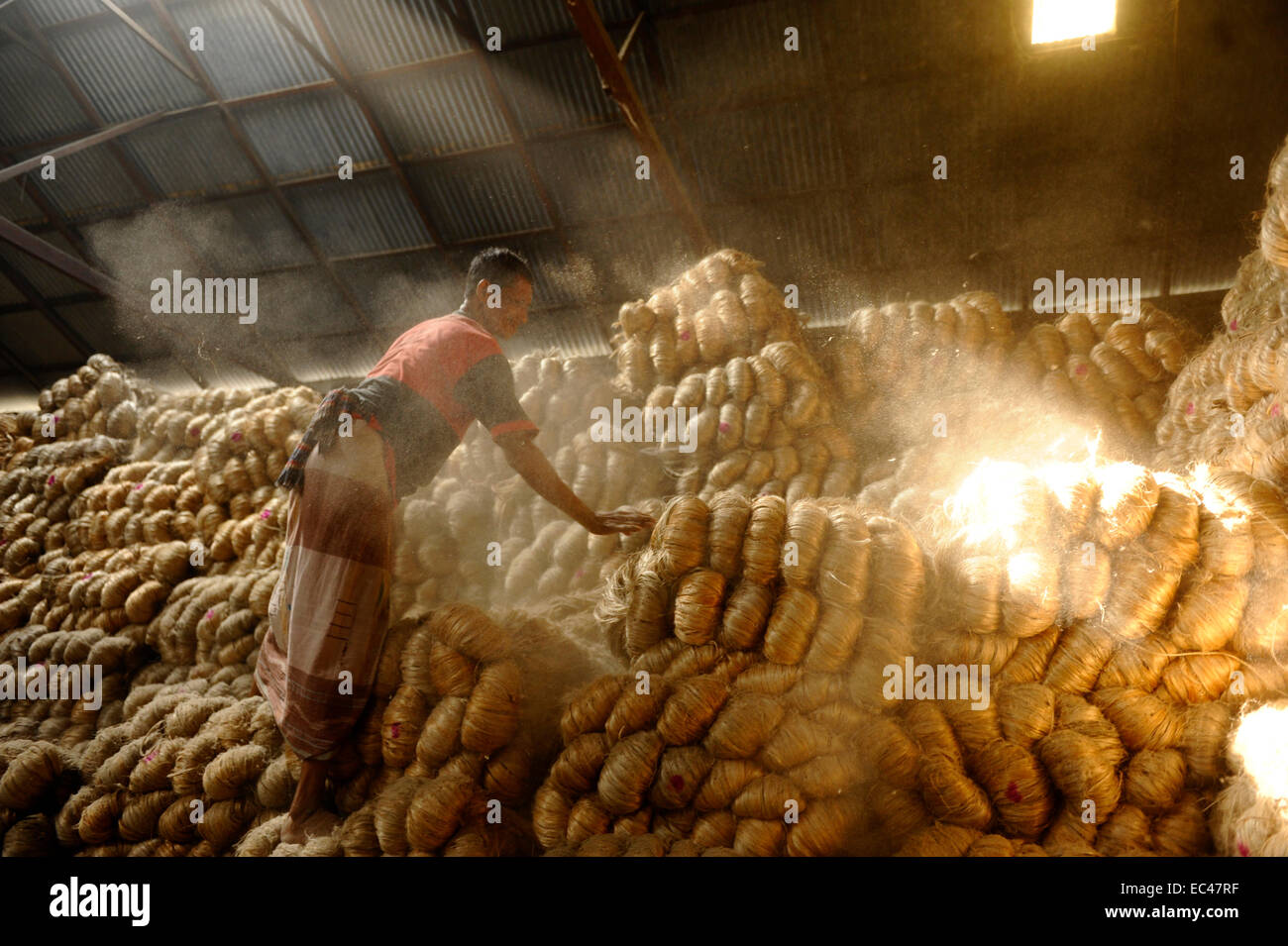 A laborer inside the jute factory in Bangladesh. Jute naturally grows ...