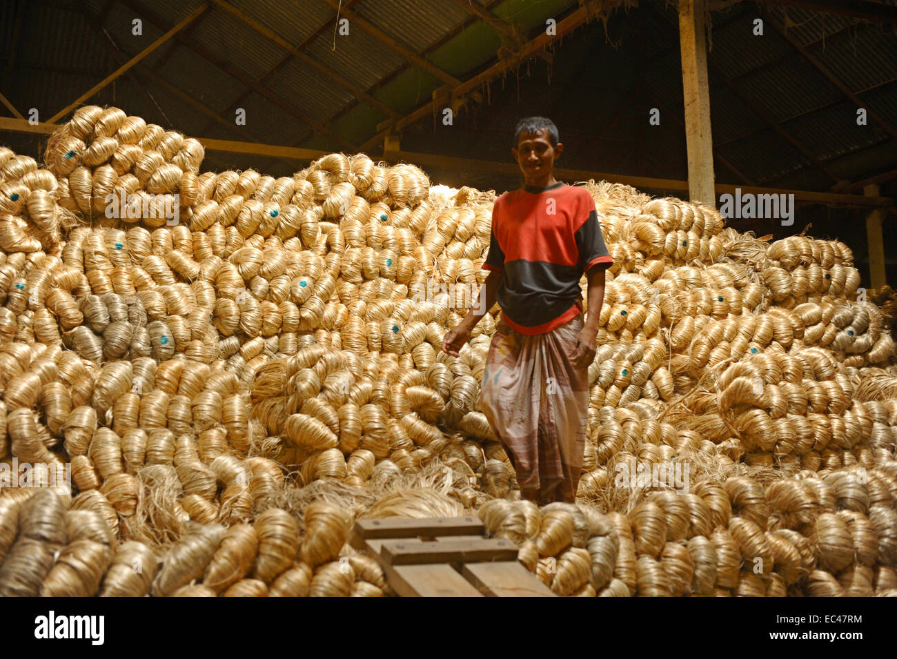 A laborer inside the jute factory in Bangladesh. Jute naturally grows in the fertile soil of ...