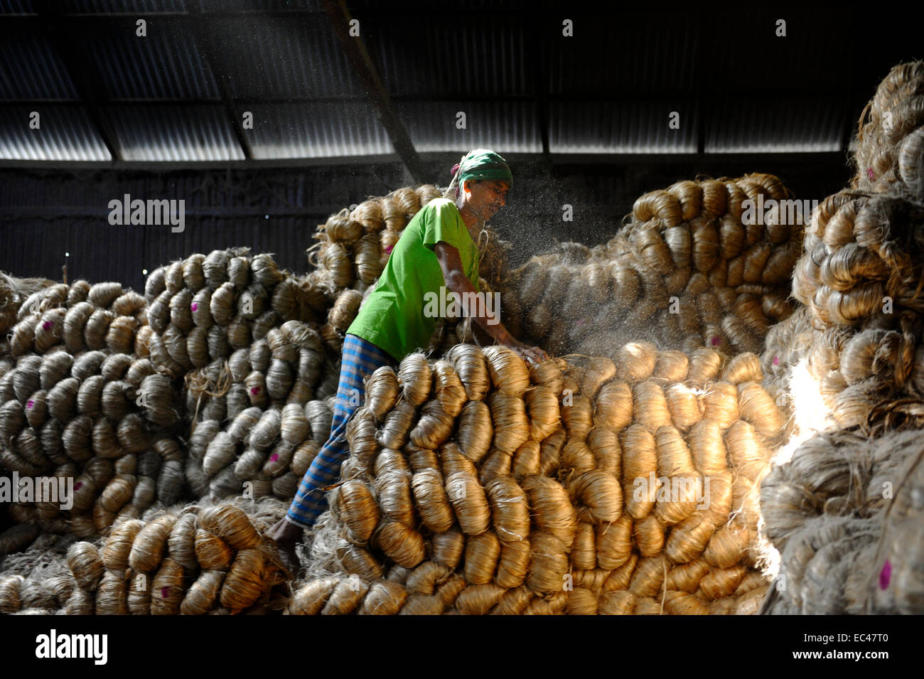 Bangladesh Jute High Resolution Stock Photography and Images - Alamy