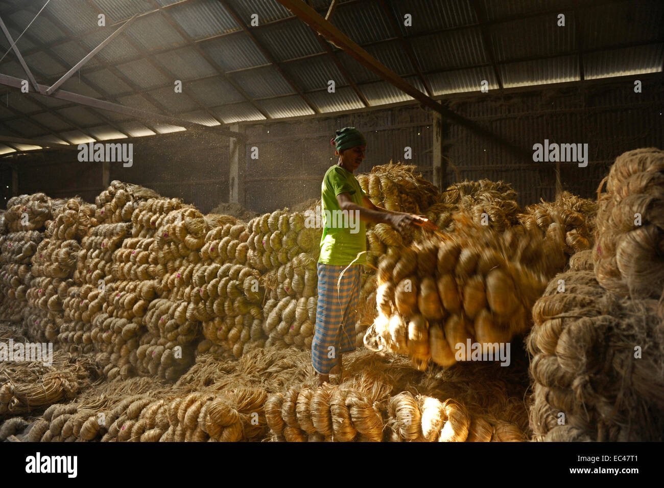 A laborer inside the jute factory in Bangladesh. Jute naturally grows ...