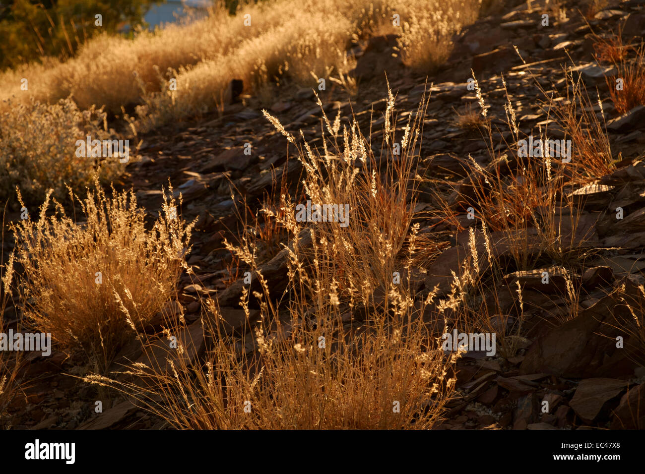 Mt isa lookout hi-res stock photography and images - Alamy