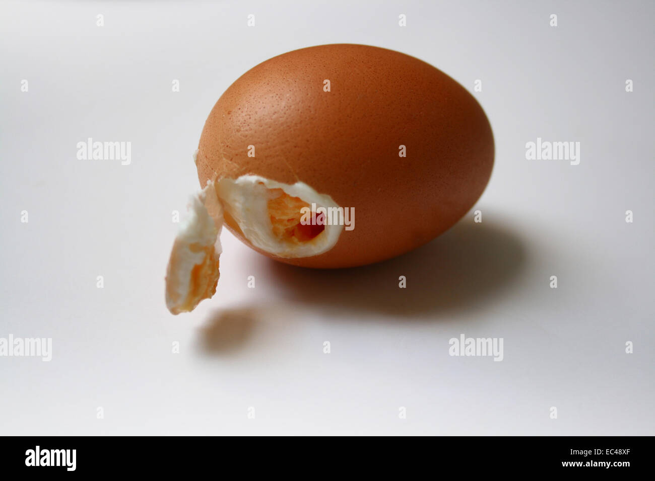 Germ egg cell hi-res stock photography and images - Alamy