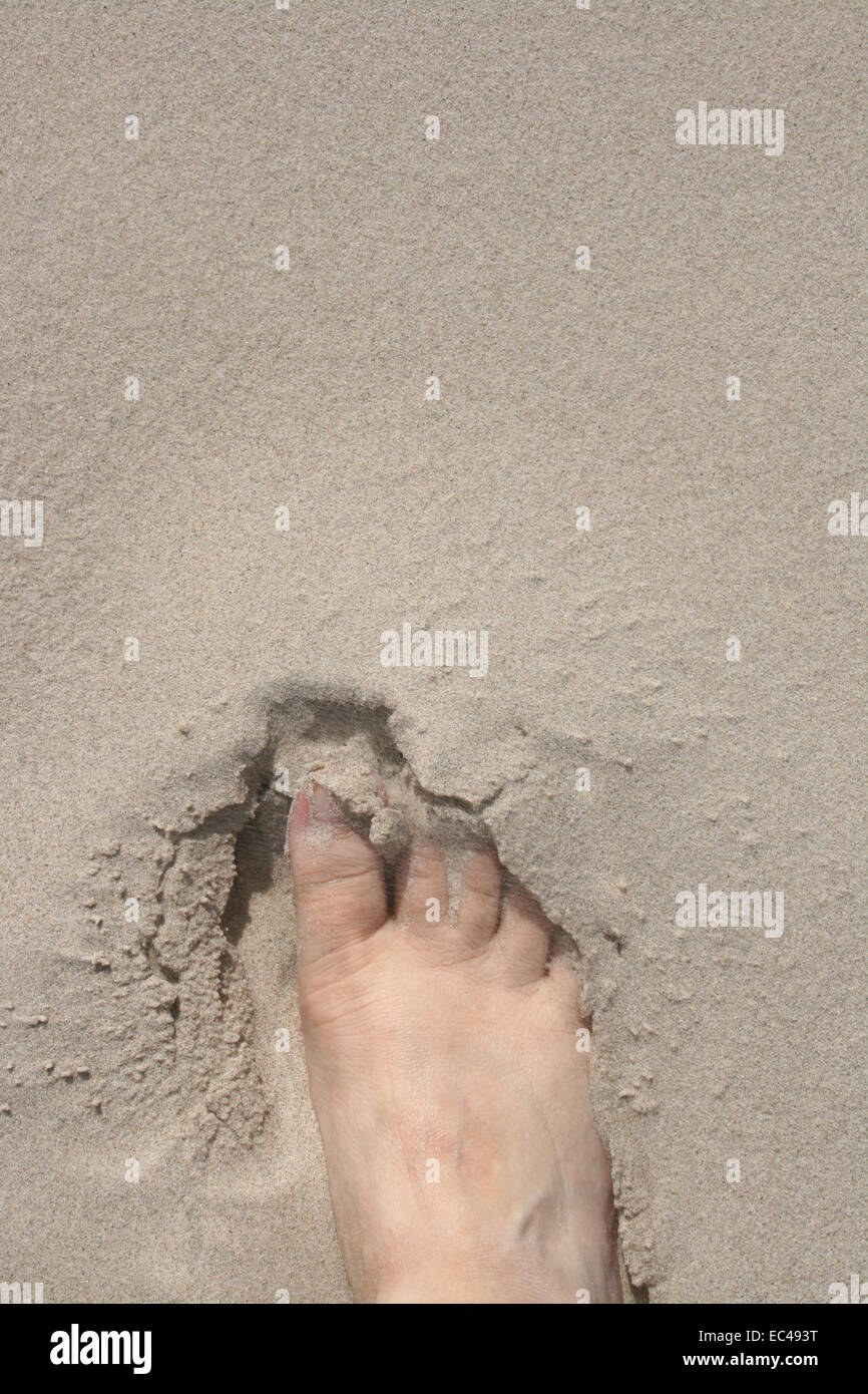 Step by step Stock Photo - Alamy