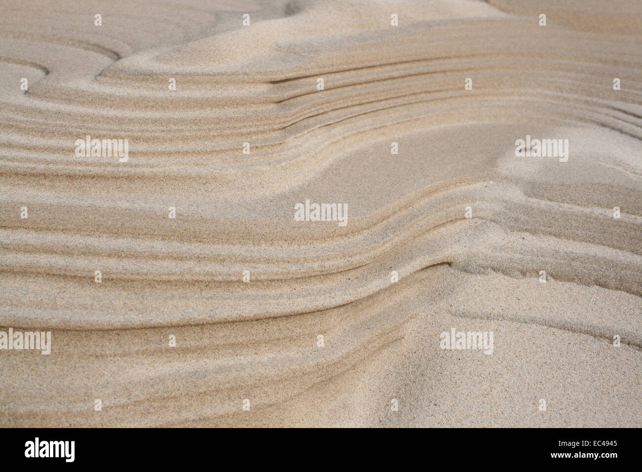 Sand and dunes in Denmark Stock Photo - Alamy