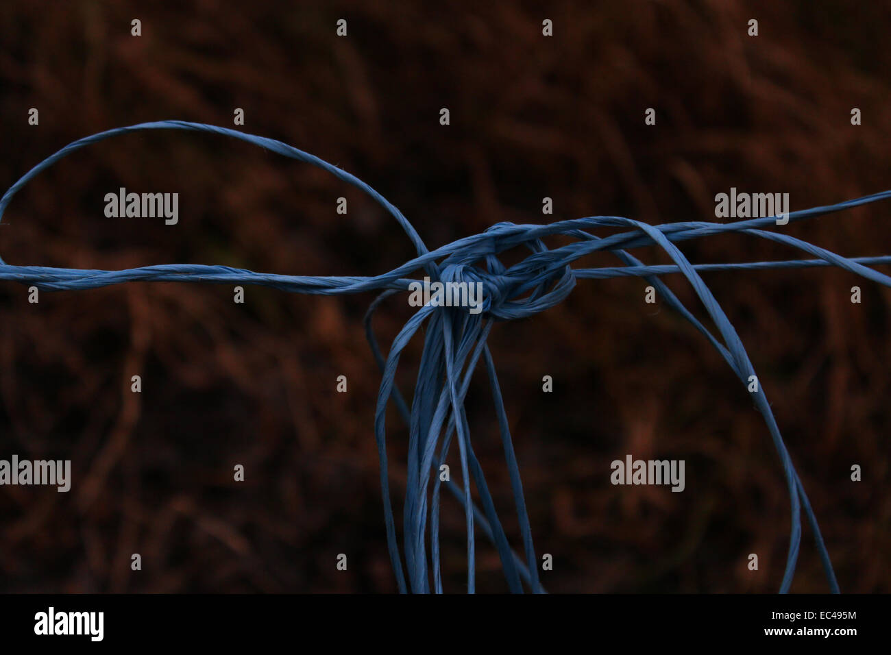 Gordian knot hi-res stock photography and images - Alamy