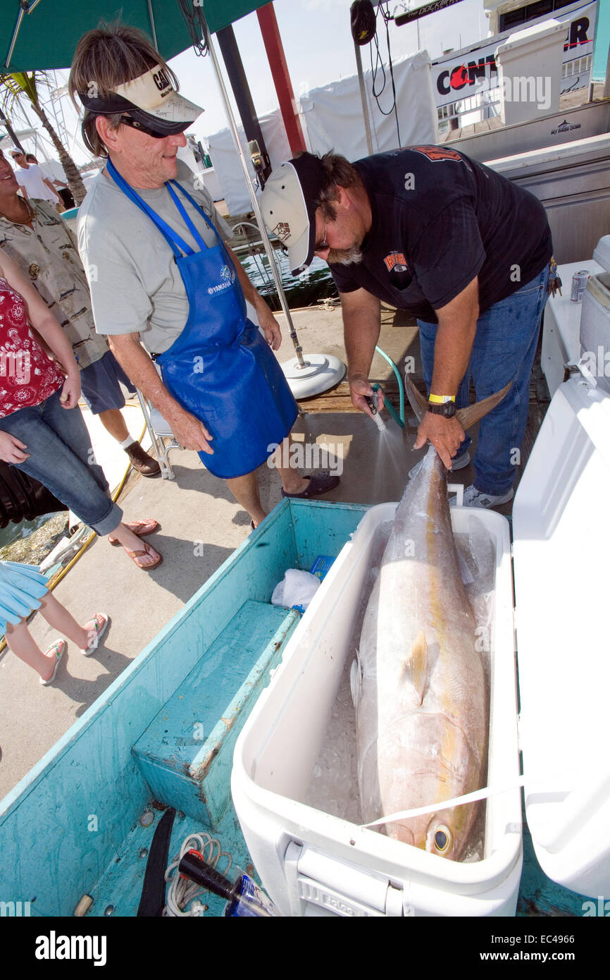 Recreational Catch High Resolution Stock Photography and Images - Alamy