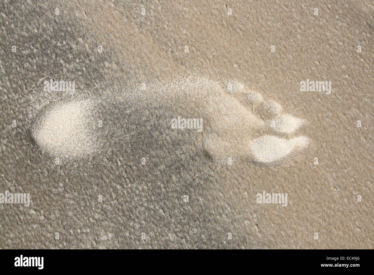 Trace on sand Stock Photo - Alamy