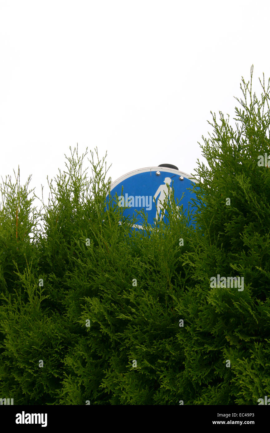 Hidden behind a bush Stock Photo - Alamy