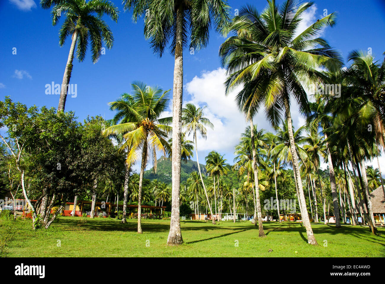 Cuba, Rio Duaba near Baracoa and El Yunque mountain the Alejandro de ...